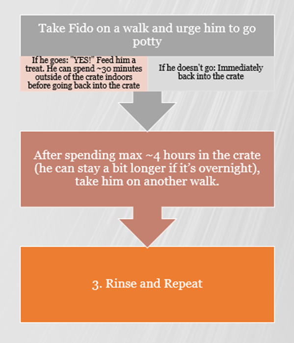 Understanding Your Dog